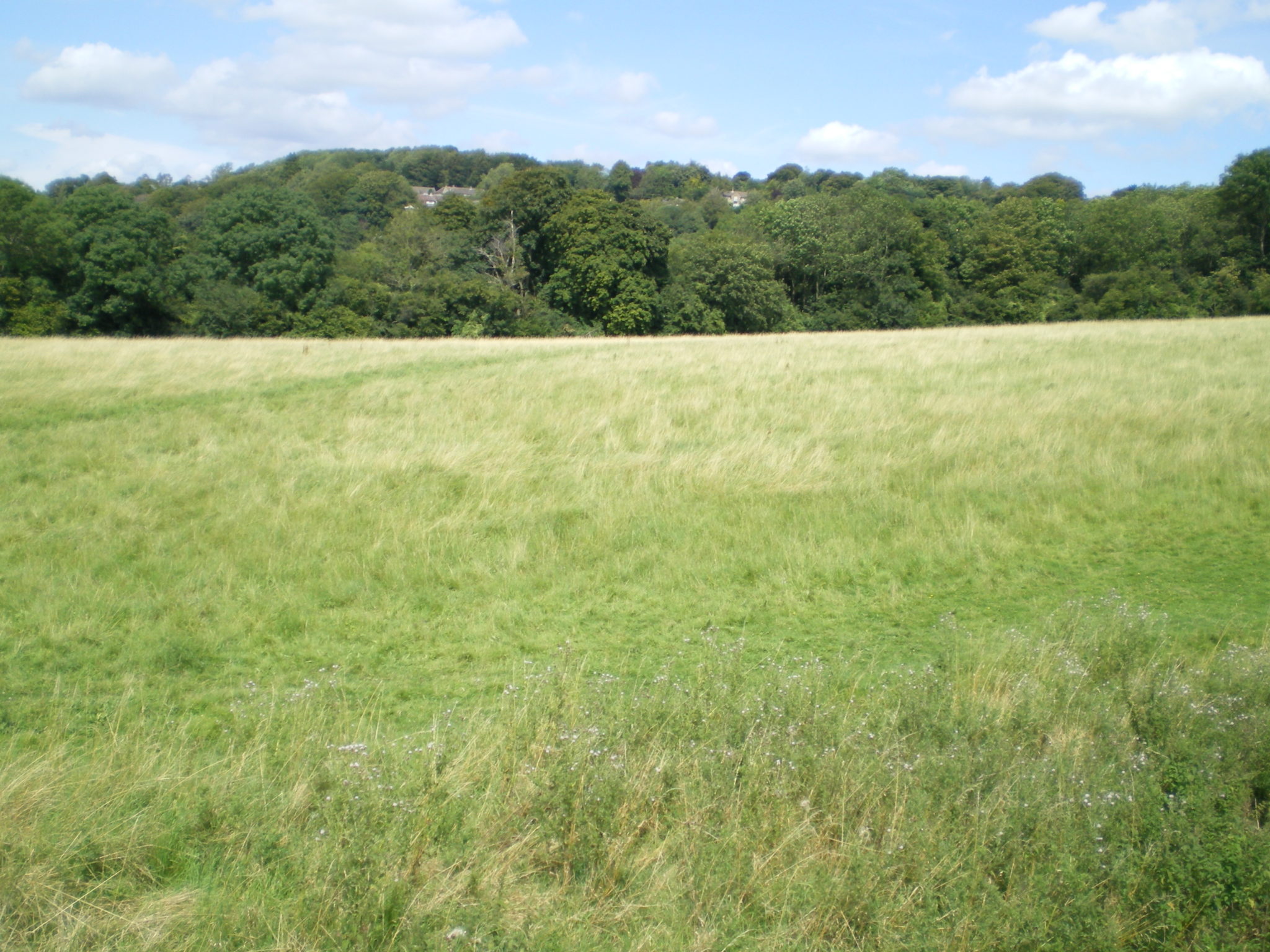 iPadのホーム画面にファイルやフォルダを並べる方法 - YashuLog