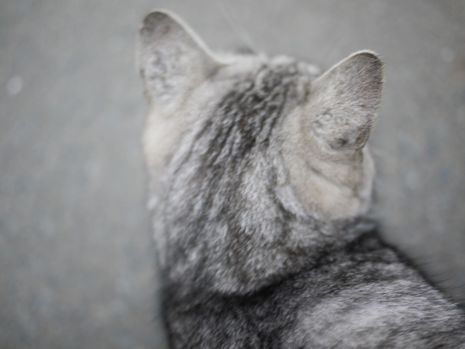 iPadのホーム画面にファイルやフォルダを並べる方法 - YashuLog